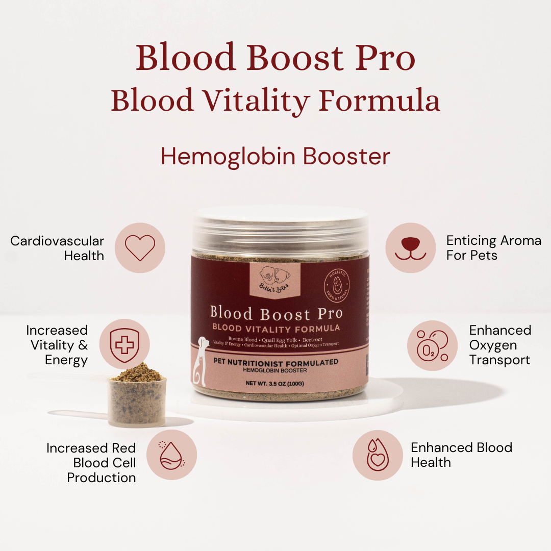 Blood Boost Pro [Hemoglobin Booster] – Bella's Bites