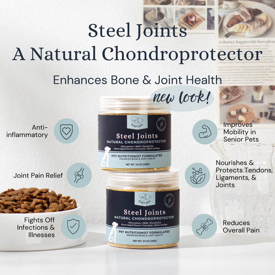 Steel Joints [Joint Care] – Bella's Bites